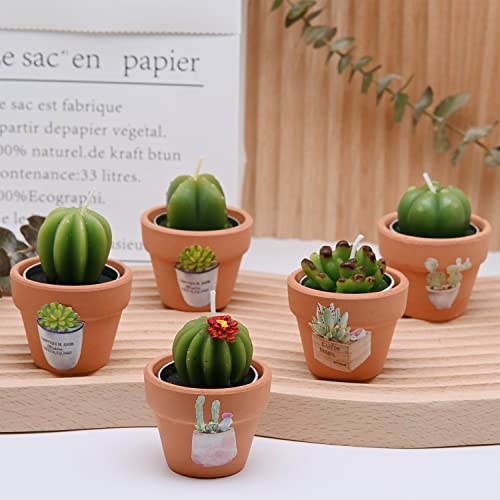 Succulent Candles, Novelty Cactus Tealight Candle Baby Shower Candle Decorations for Party Favors Terrarium Cacti candels Home Decorā¦