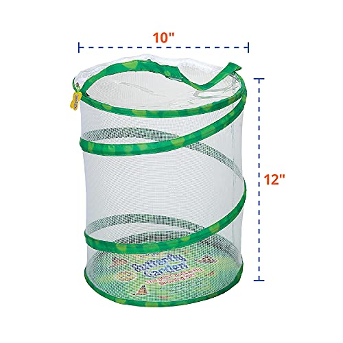 Butterfly Garden: Original Habitat and Live Cup of Caterpillars with STEM Butterfly Journal β Life Science & STEM Education β Butterfly Science Kit
