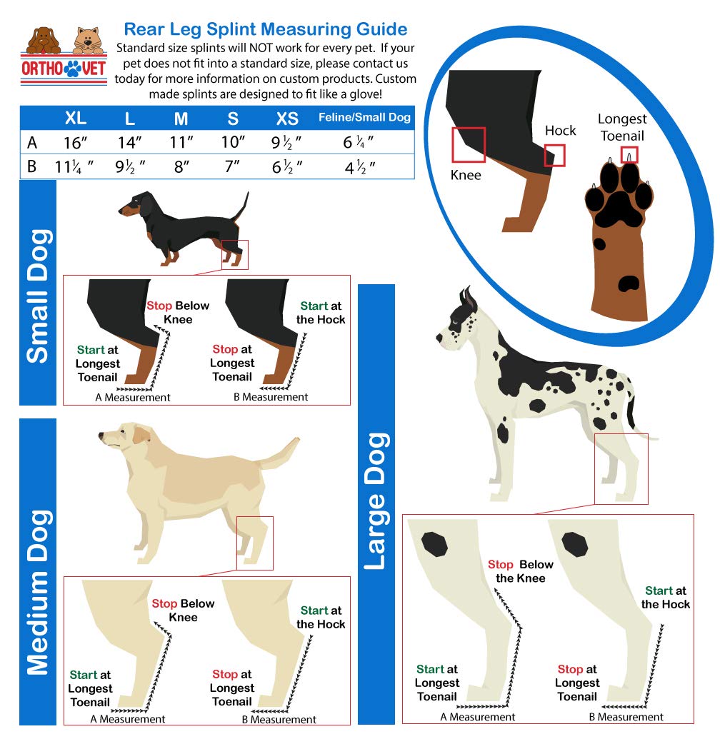 OrthoVet Standard Rear Splint for Dogs and Cats with Arthritis or Injuries (XXS)
