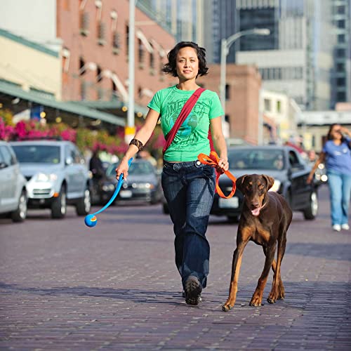 ChuckIt! Junior 18M Dog Ball Launcher, 18" Length, Includes Medium Ball (2.5") For Dogs 20-60 Pounds