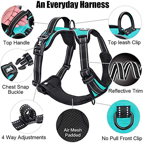 PoyPet No Pull Dog Harness, Reflective Comfortable Vest Harness with Front & Back 2 Leash Attachments and Easy Control Handle Adjustable Soft Padded Pet Vest for Small to Large Dogs (Mint Blue,M)