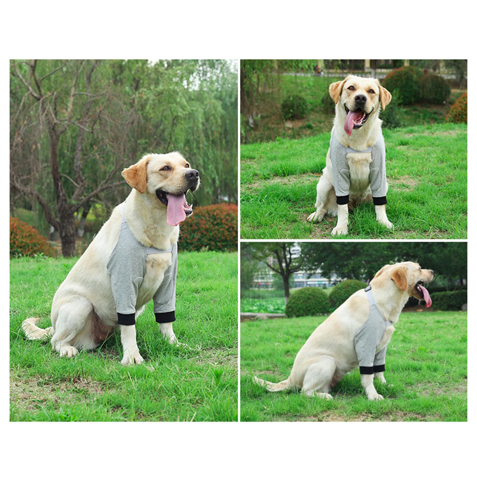 Adjustable Dog Elbow Protector Soft Breathable Stable Support for Injury, Front Legs Sleeve for Dog Recovery (S)