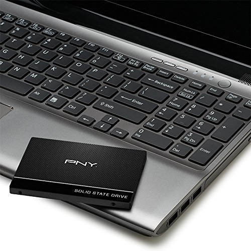 PNY SSD7CS900-120-RBX10 120GB 2.5” SATA III Internal Solid State Drive, 10-Pack