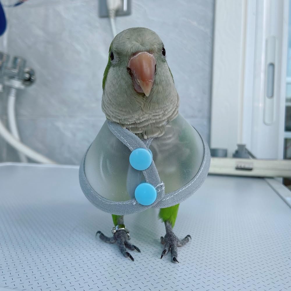 Adjustable Parrot Cone Collar, Safe and Practical Cotton Collar to Prevent Bites and Licking Wounds, to Help heal (2M)