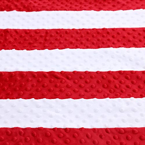 Snuggle Stuffs Minky Dot Plush USA Flag 24" x 36" Baby Blanket