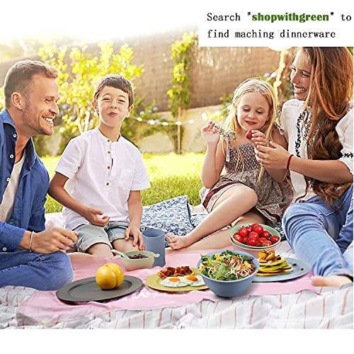 shopwithgreen 10 Inch Wheat Straw Dinner Plates, Unbreakable Sturdy Plastic Dinner Plates, Microwave and Dishwasher Safe