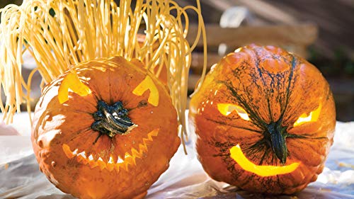 MIXED SEEDS! 50+ Pumpkin and Winter Squash MIX Seeds NON-GMO 25 Varieties Delicious Grown in USA. Rare, Super Profilic and Delicious HARLEY SEEDS