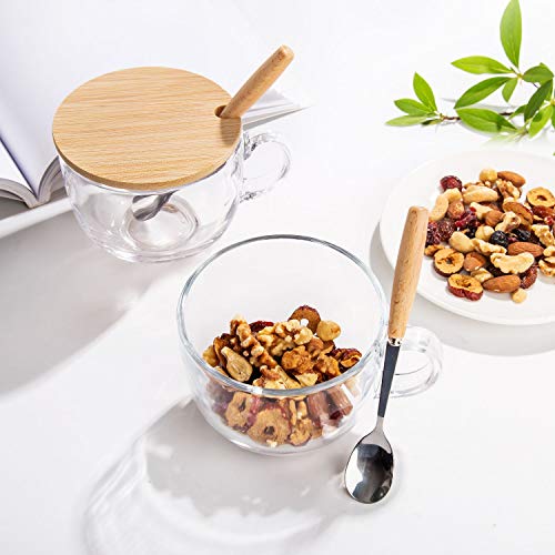 PARACITY Glass Cup 15OZ Clear Coffee Mug with Lids Spoon for Breakfast Tea,Milk,Beverage,Oats,yoghurt