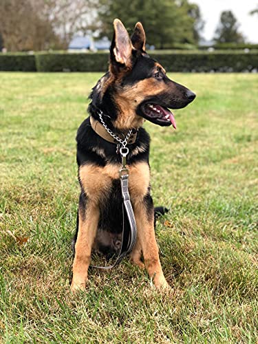 JiePai Military Dog Collar Adjustable Nylon k9 Tactical Dog Collar with D-Ring & Buckle Collars for Medium Large Dogs (Ranger Green,L)