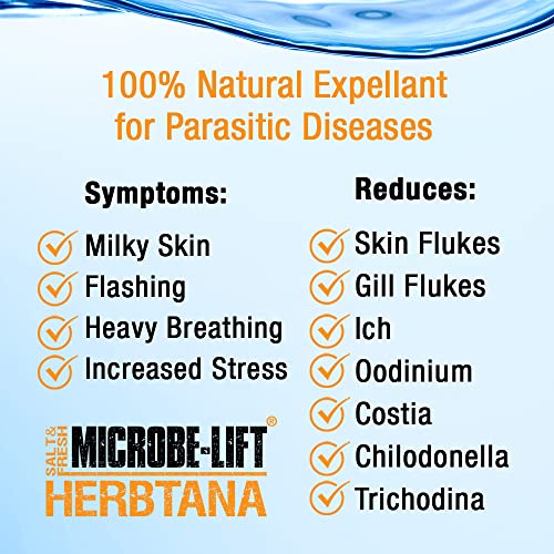 MICROBE-LIFT HERB16 Herbtana Immune Booster and Natural Parasite Remover for Freshwater and Saltwater Home Aquariums and Fish Tanks, 16 Ounces