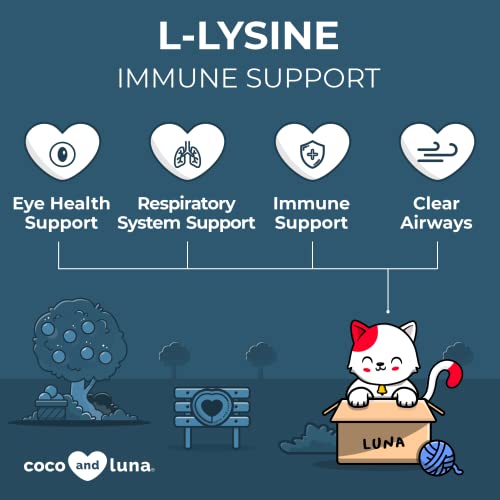 L-Lysine Supplement for Cats 4oz/120g - Cat Supplement for Sneezing and Runny Nose, Cat Cold, Cat Immune Support, Eye Function and Respiratory Health β Lysine Powder for Cats, Salmon Flavor