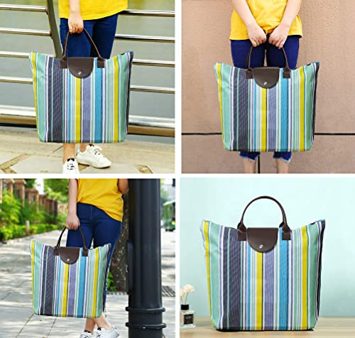 Collapsible Folding Shopping Bag with Wheels Foldable Shopping Cart Reusable Grocery Bags, Trolley Bag on Wheels (B0741YPTV7)