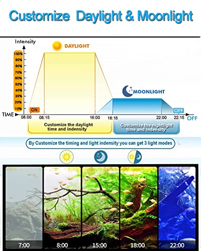 MingDak LED Aquarium Fish Tank Light Fixture,Full Spectrum Lighting for Freshwater Planted Aquariums,Slim & Thin Aluminum Housing,Extendable Brackets Fit 12" to 18" Fish Tank Model MDGLSD01B-12S
