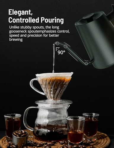 Gooseneck Electric Kettle, Paris Rhône Electric Kettle with 4 Variable Presets, ±1℉ Temperature Control & LED Real-time Temperature Display, Stainless Steel Inner, 24H Keep Warm for Coffee, Tea, 0.9L