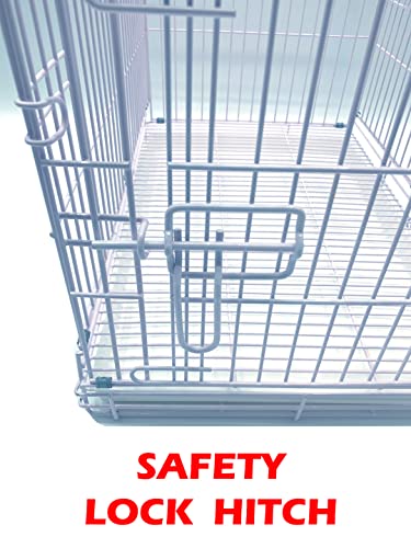 Collapsable Bird, Parrot, Dog, Bunny, Rabbit and Cat Carrier Travel Vet Carrier Cage (19" x 12" x 16"H, White)
