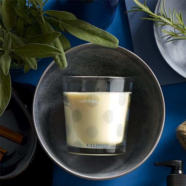 Caldrea Scented Candle, Made with Essential Oils and Other Thoughtfully Chosen Ingredients, 45 Hour Burn Time, Basil Blue Sage Scent, 8.1 oz