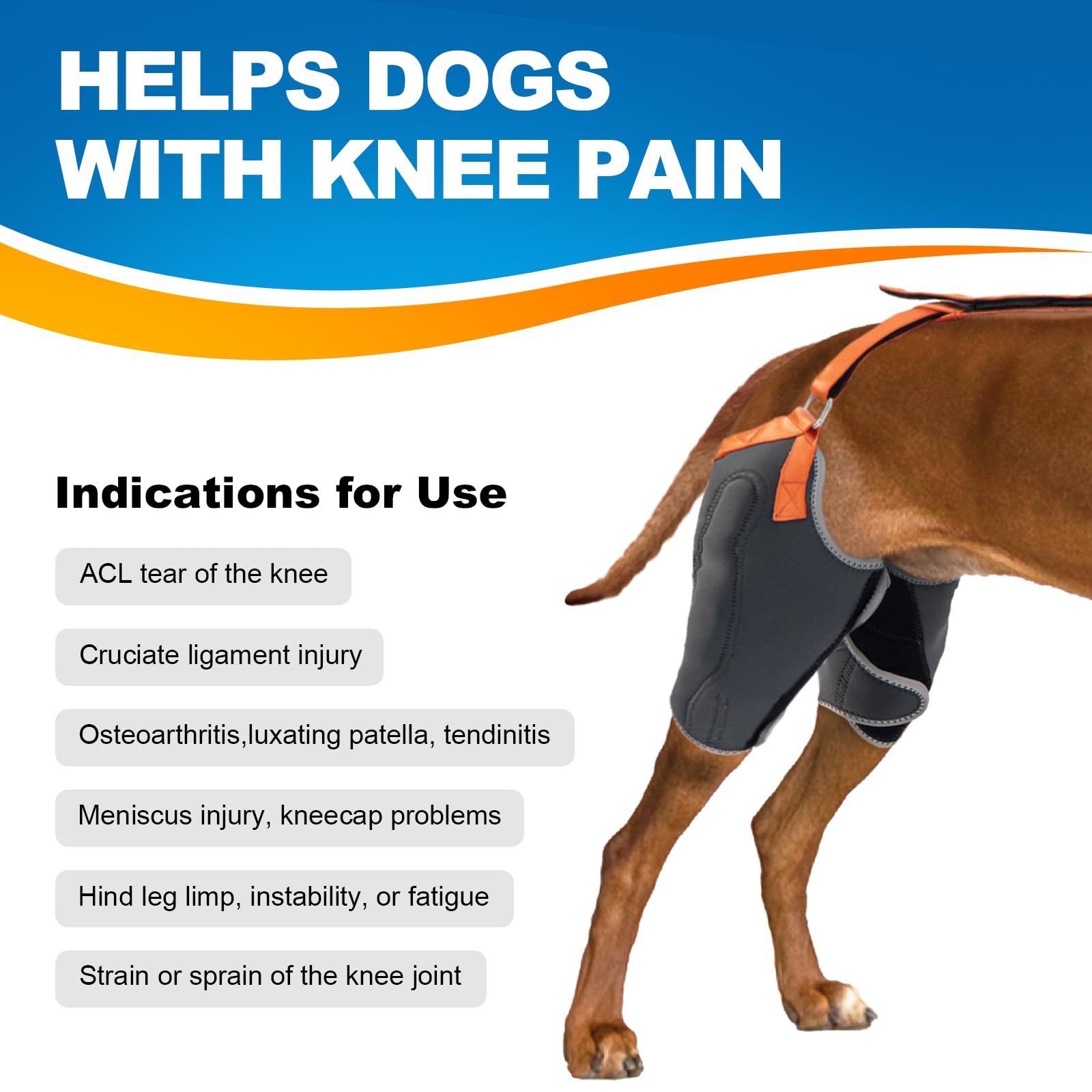 CHAMIN/RISURRY Dog Knee Brace Support for Back Legs with Metal Splint Hinge,Support Brace for ACL/CCL, Cruciate Ligament Injury,Osteoarthritis, Luxating Patella, Muscle Sore,et(Grey,XL)