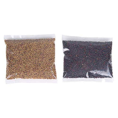 Kitchen Crop VKP1234 Deluxe Kitchen Seed Sprouter, 1 Oz Alfalfa and 1 Oz Broccoli Included