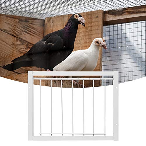 KSTE Iron Birdcage House Door High Strength for Pigeon Parrot Easy Installation(30x26cm)