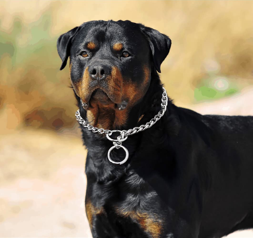 Dog Choke Collar Slip P Chain - Heavy Chain Dog Titan Training Choke Collars - Adjustable Stainless Steel Chain Dog Collars Covered with Galvanic Plating - for Small Medium Large Dogs