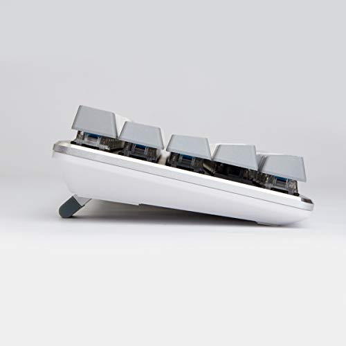 Qisan Holiday Sale 20% Discount Off Mechanical Keyboard Gaming Keyboard Gateron Brown Switch PBT Keycaps Keyboard Wired Backlit Mini Design (60%) 68 Keys Keyboard White Magicforce (White Gray Combo)