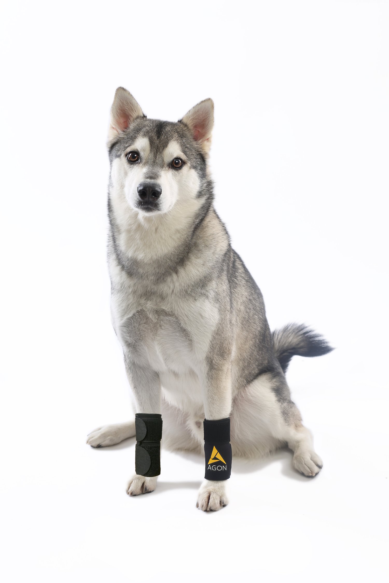 AGON® Pair Dog Canine Front Leg Brace Paw Compression Wraps with Protects Wounds Brace Heals and Prevents Injuries and Sprains Helps with Loss of Stability Caused by Arthritis (Large/X-Large)