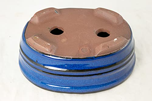 6" Oval Blue Glazed Bonsai/Succulent Pot + Soil + Tray + Rock + Mesh Kit