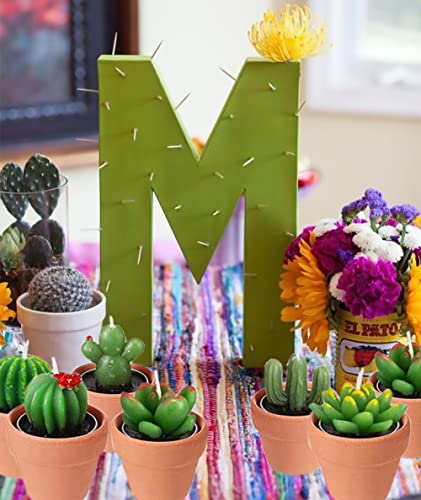 Succulent Candles, Novelty Cactus Tealight Candle Baby Shower Candle Decorations for Party Favors Terrarium Cacti candels Home Decorā¦