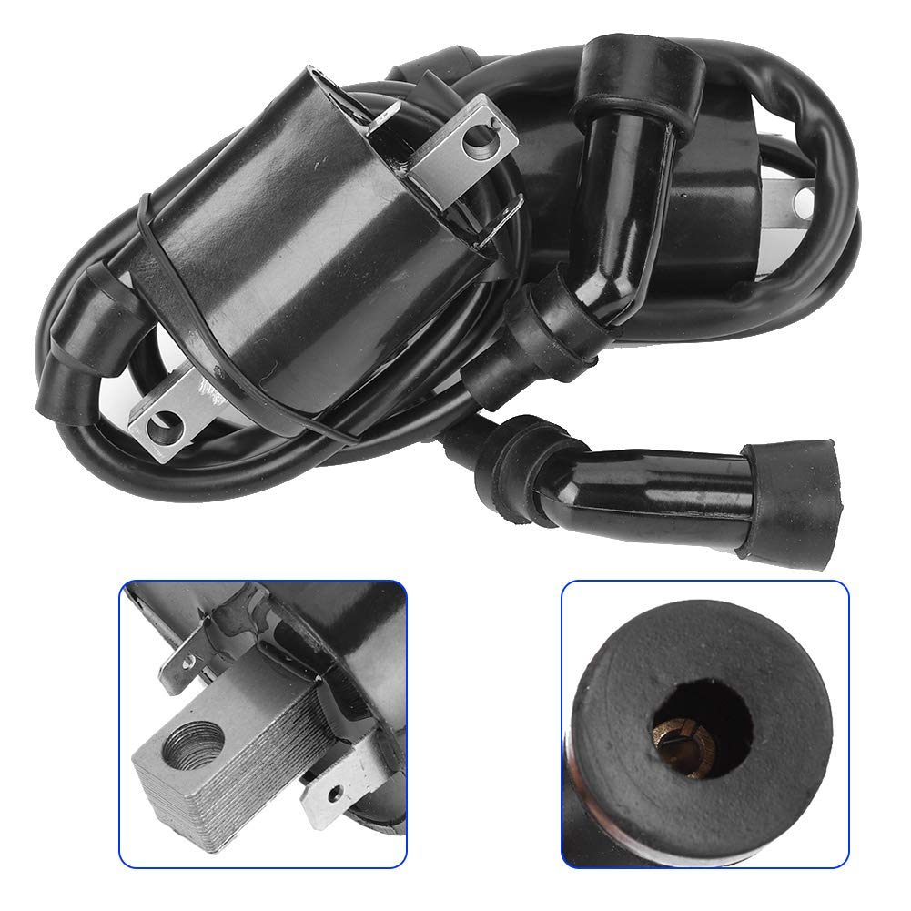 2Pcs Ignition Coils Assembly Engine Ignition Coil Pack for Yamaha XVS1100 V-STAR 1999-2009 Replace OEM 5EL-82320-00-00