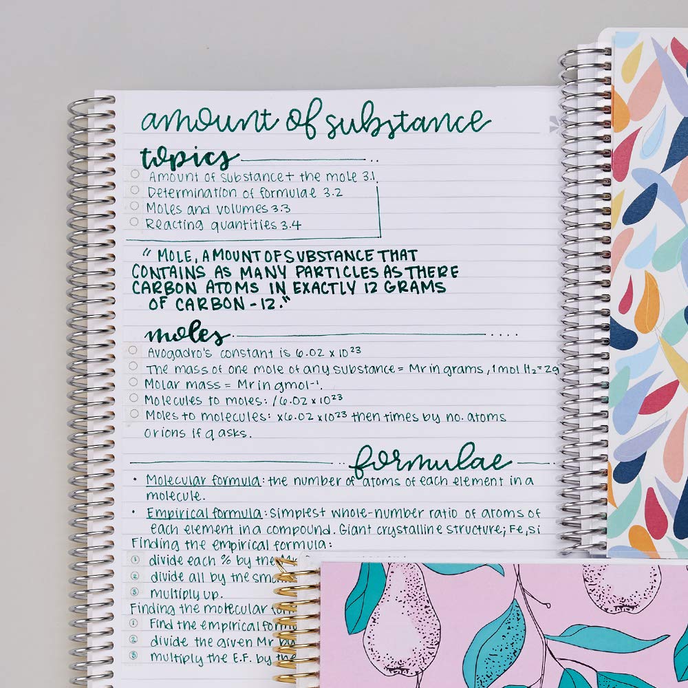 7" x 9" Spiral Bound College Ruled Notebook - Metallic Bling On 2022. 160 Lined Page Note Taking & Writing Notebook. 80 lb. Thick Mohawk Paper. Stickers Included by Erin Condren.