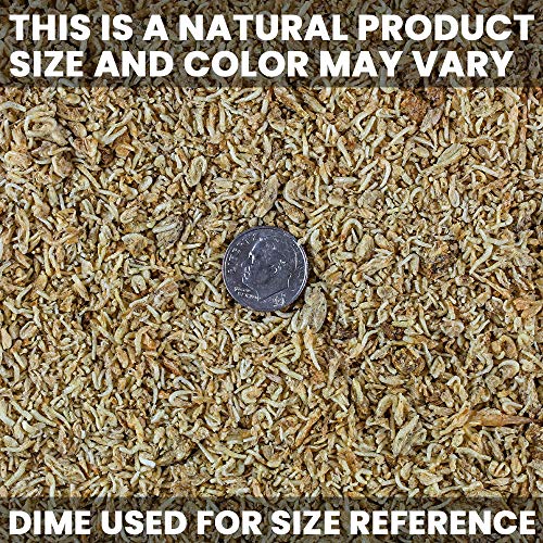 San Francisco Bay Brand Freeze-Dried Mysis Shrimp 0.88-Ounces (25 Grams) Jar
