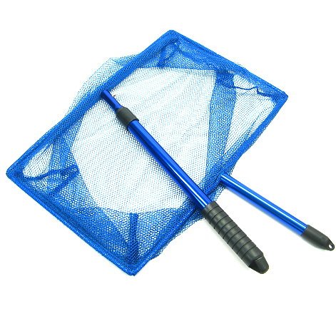 CORISRX BEST OF YOUR LIFESTYLE 12"x 8" Koi Adjustable Fish NET Handle 30~54cm Aluminum Fishing Pond Tank Blue