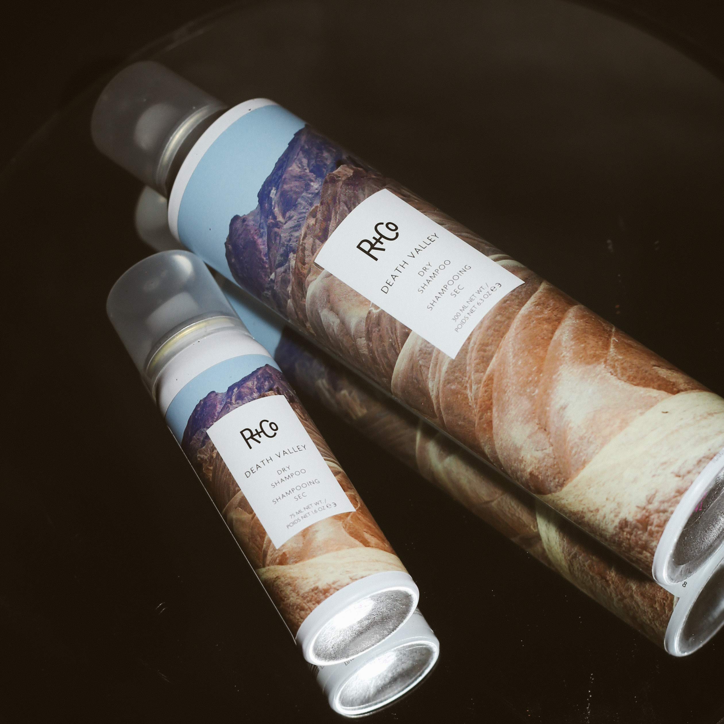 R+Co Death Valley Dry Shampoo | Adds Texture + Body + Shine | Vegan + Cruelty-Free | 1.0 Oz