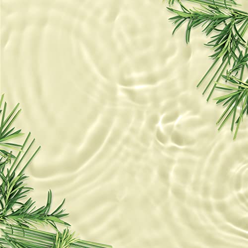 Love Beauty and Planet Radical Refresher 100% Biodegradable Shampoo Detoxifying & Purifying Tea Tree Oil & Eucalyptus Vegan Shampoo 0% Sulfates, Silicones, Parabens, and Dyes 13.5 oz