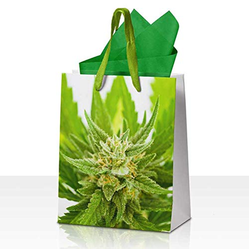 Gift Bag with Tissue, Medium Size, Hemp Bud Print, with Cotton Handles
