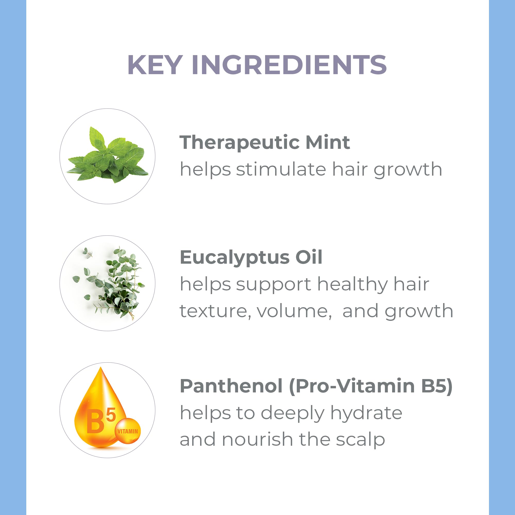 Derma E Thickening Conditioner for Thinning Hair and Natural Growth β Sulfate Free Therapeutic Mint and Herbal Hair Food Conditioner, 10 oz