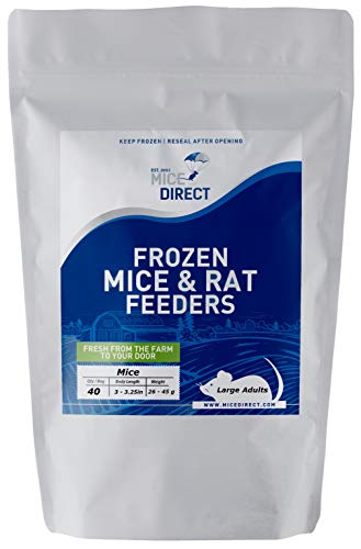 MiceDirect 40 Large Adult Mice: Pack of Frozen Large Adult Feeder Mice - Food for Corn Snakes, Ball Pythons, Lizards and Other Pet Reptiles - Freshest Snake Feed Supplies