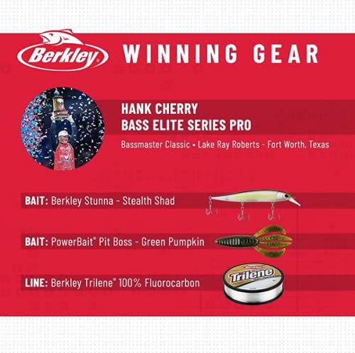 Berkley Stunna Fishing Hard Bait, Blaze, 112mm - 1 (1/2 oz)