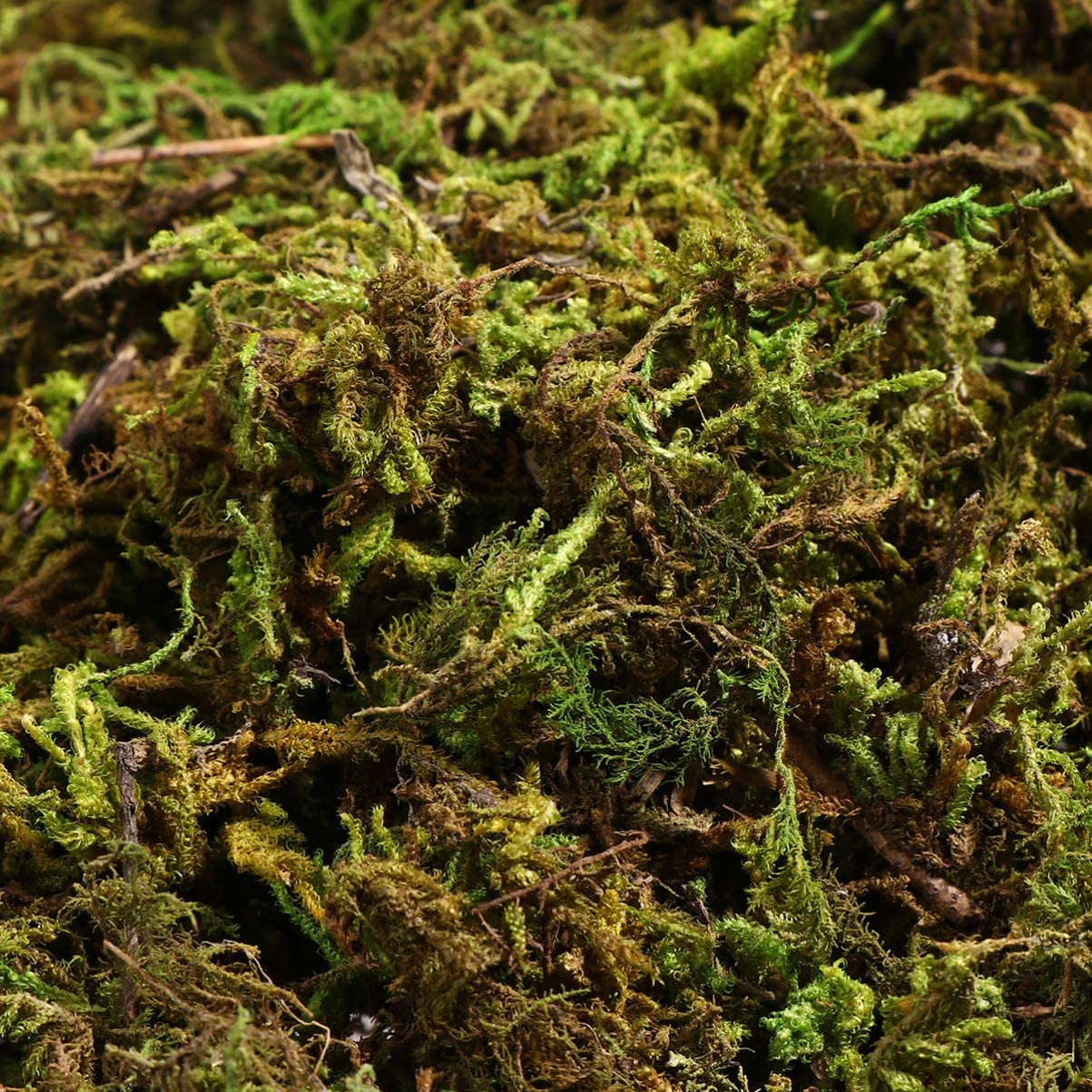 BESPORTBLE 1 Packs Artificial Moss for Plants Flowers Lichen Simulation Fake Green Plants for Home Garden Patio Decoration ( About 60g )