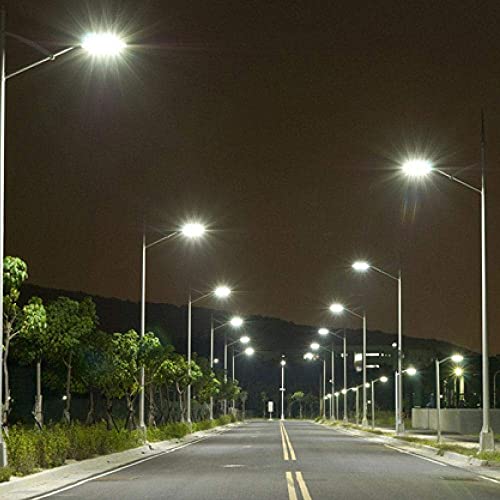 LEDMyplace 300W LED Pole Light 5700K Universal Mount Bronze AC120-277V LED Parking Lot Lights - Commercial Area Street Security Lights