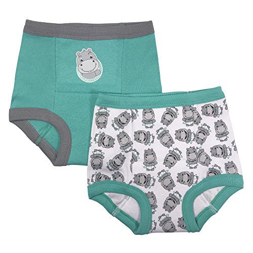 Handcraft Potty Training Kit for Toddlers, Includes parent guide, Training Pants and more, Teal, size 2T/3T