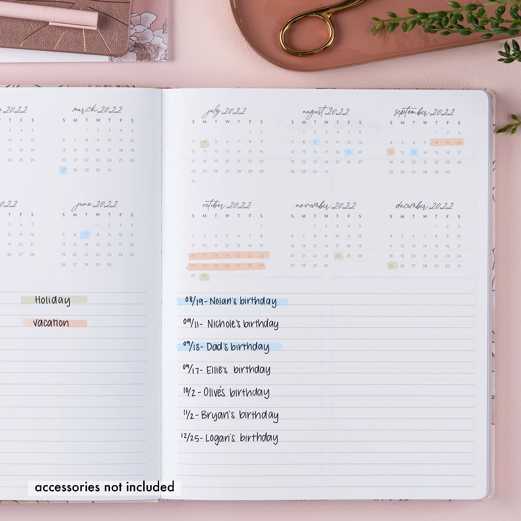 8” x 10” 12 Month Soft Bound Life Planner ( Jan 2022 – Dec 2022 ) – Flora Blush + Flora Interior Pages. Vertical Weekly and Monthly Agenda by Erin Condren.