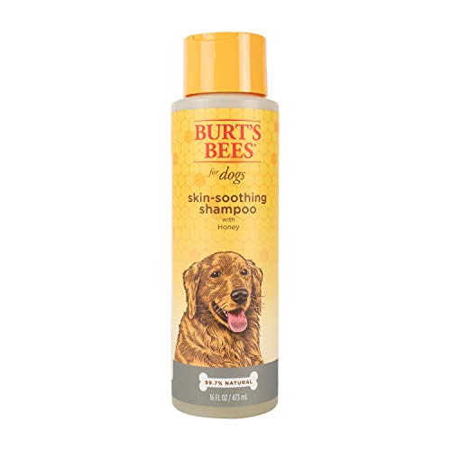 Burt's Bees for Pets Natural Skin Soothing Shampoo with Honey | Dog Shampoo for All Dogs and Puppies | Safe for Dogs with Dry and Sensitive Skin | pH Balanced for Dogs - Made in USA, 16 Ounces