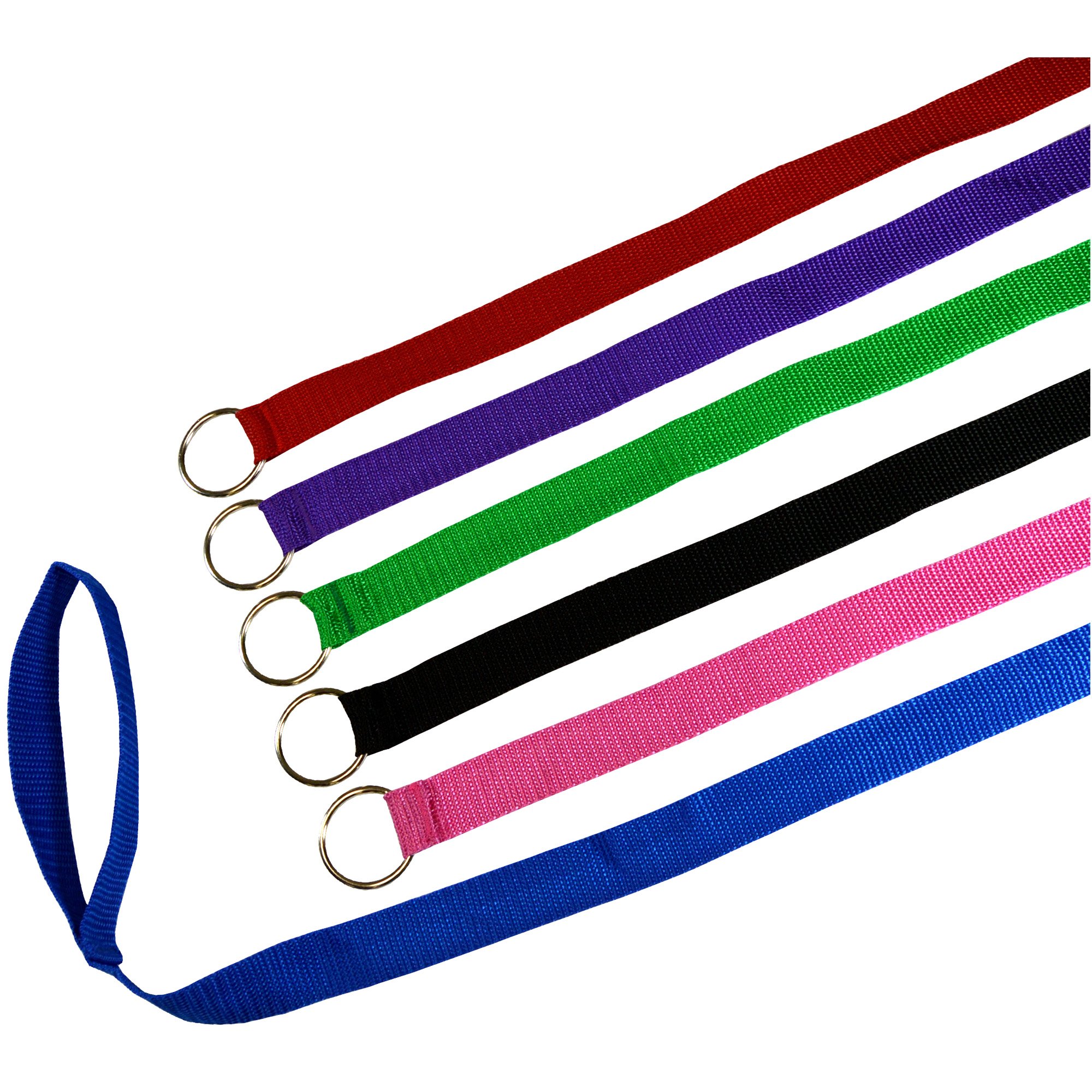Downtown Pet Supply - 6ft Dog Kennel Slip Lead Dog Leash - Veterinarian, Dog Grooming, Daycare & Animal Rescue Dog Supplies - One Size Leads for Dogs Bulk - 1" Thick 6 Pack