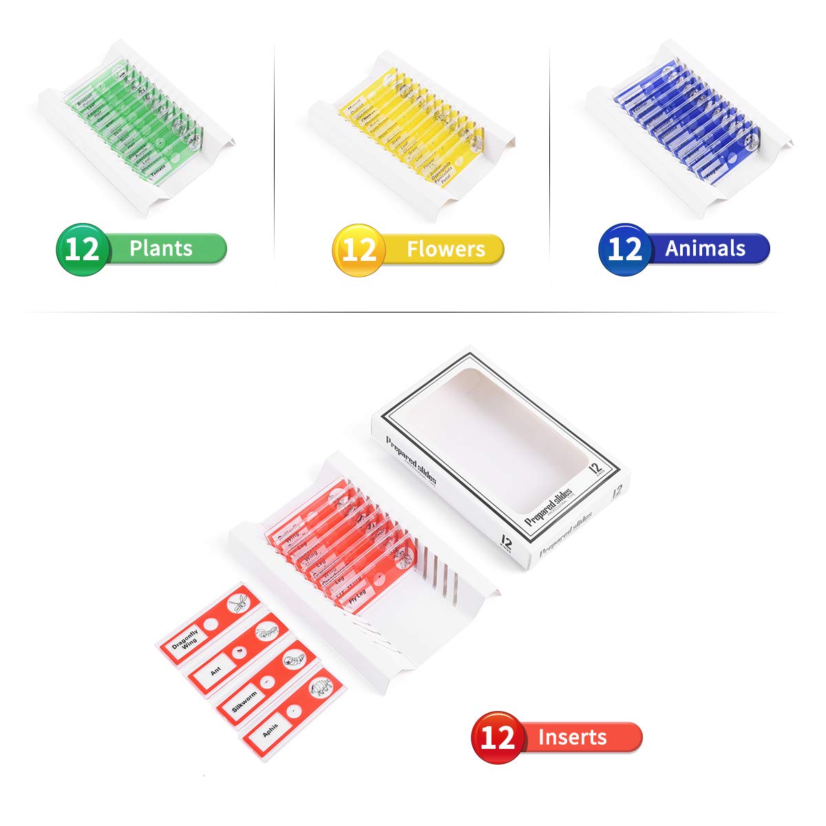 Plastic Prepared Microscope Slides for Kids, Cainda 48pcs Animals Insects Plants Flowers Sample Microscope Slides with Specimens for Students Adult Biology Science Programs