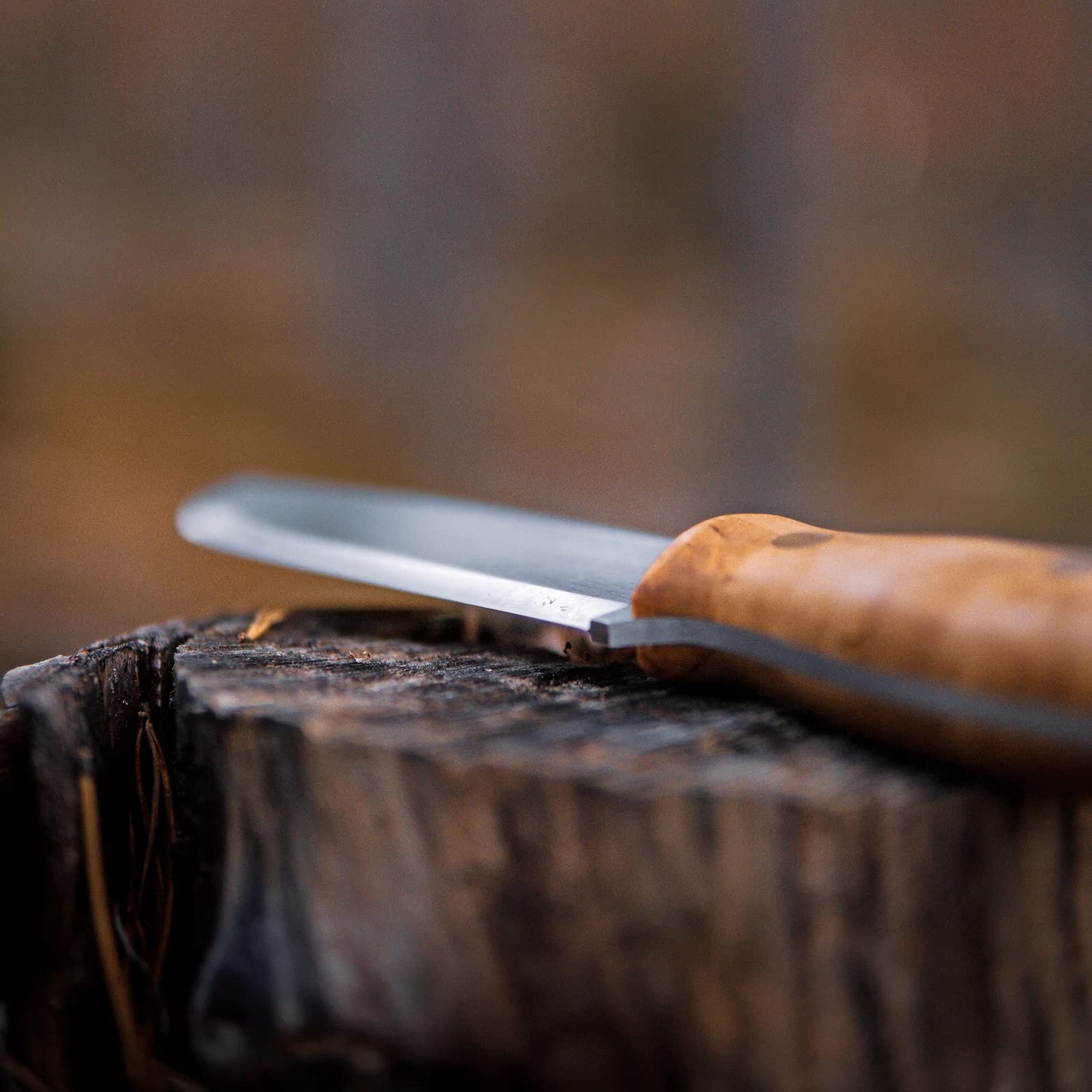 HELLE Knives - Nord - Full Tang Stainless Steel Blade, Curly Birch Handle, Fixed Blade With Sheath, Handcrafted