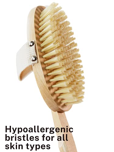 Vegan Dry Brush for Cellulite and Lymphatic Drainage Massage, Natural Firm and Soft Brushes, Cactus Bristles, Dry Skin for Face and Body Set for Brushing, Scrub with Handle