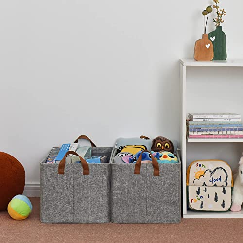 GRANNY SAYS Bundle of 2-Pack Closet Bins with Metal Frame & 2-Pack Rectangle Fabric Storage Bins