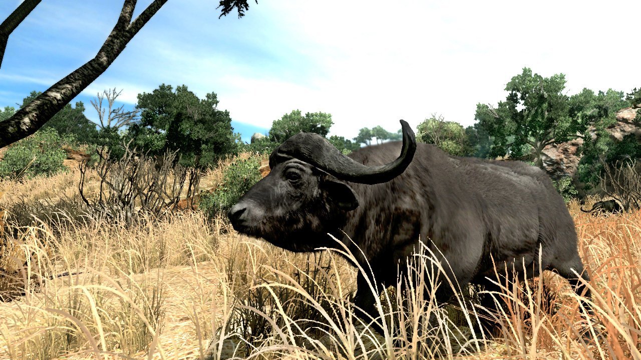 Cabela's Big Game Hunter - Xbox 360 (Game Only) (Renewed)