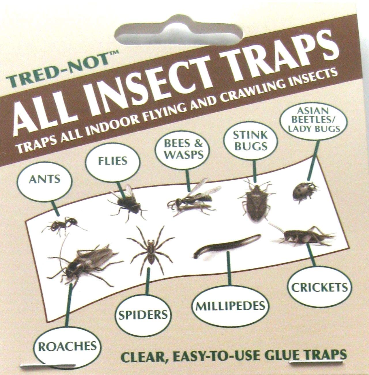 8 pk Economy All Insect Traps/Glue Boards/Window Strips. Fly, Bees, Wasps, Asian Beetles +